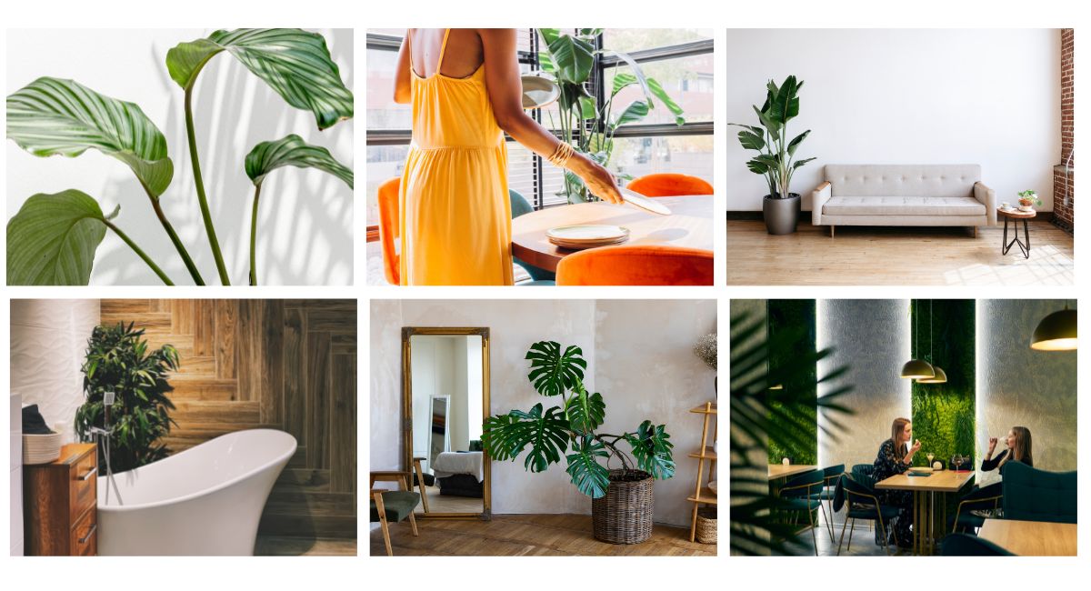 How Sustainability In Hotels Can Help Save The Planet?